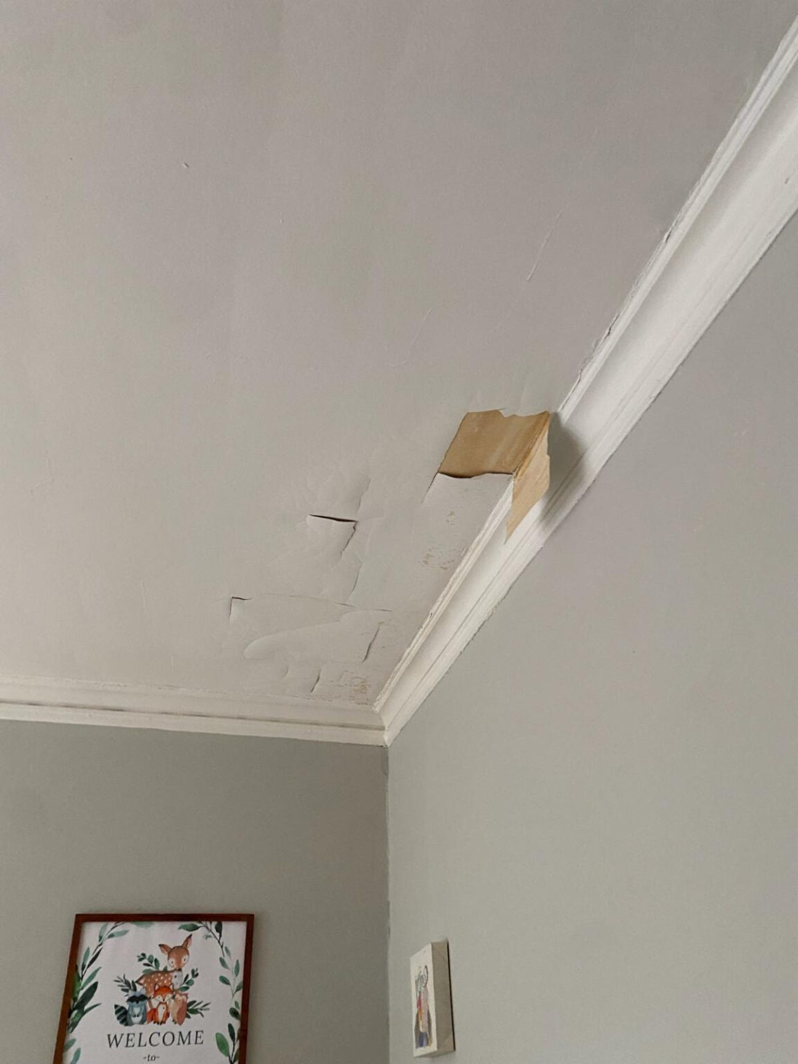 Invisible Hazards At Home: Lead Poisoning – Metropolitan Tenants ...